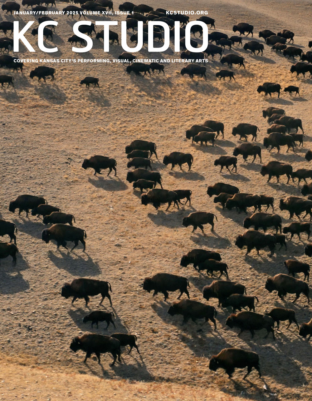 Evolution of KC Studio – Arts Engagement Foundation of Kansas City